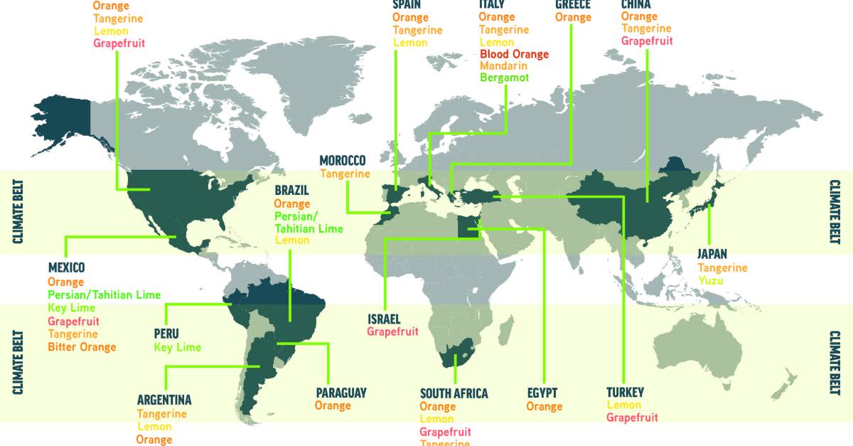 TREATT | Download global citrus growing regions map